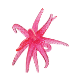 All Products – Page 2 – Fidget Toys Plus