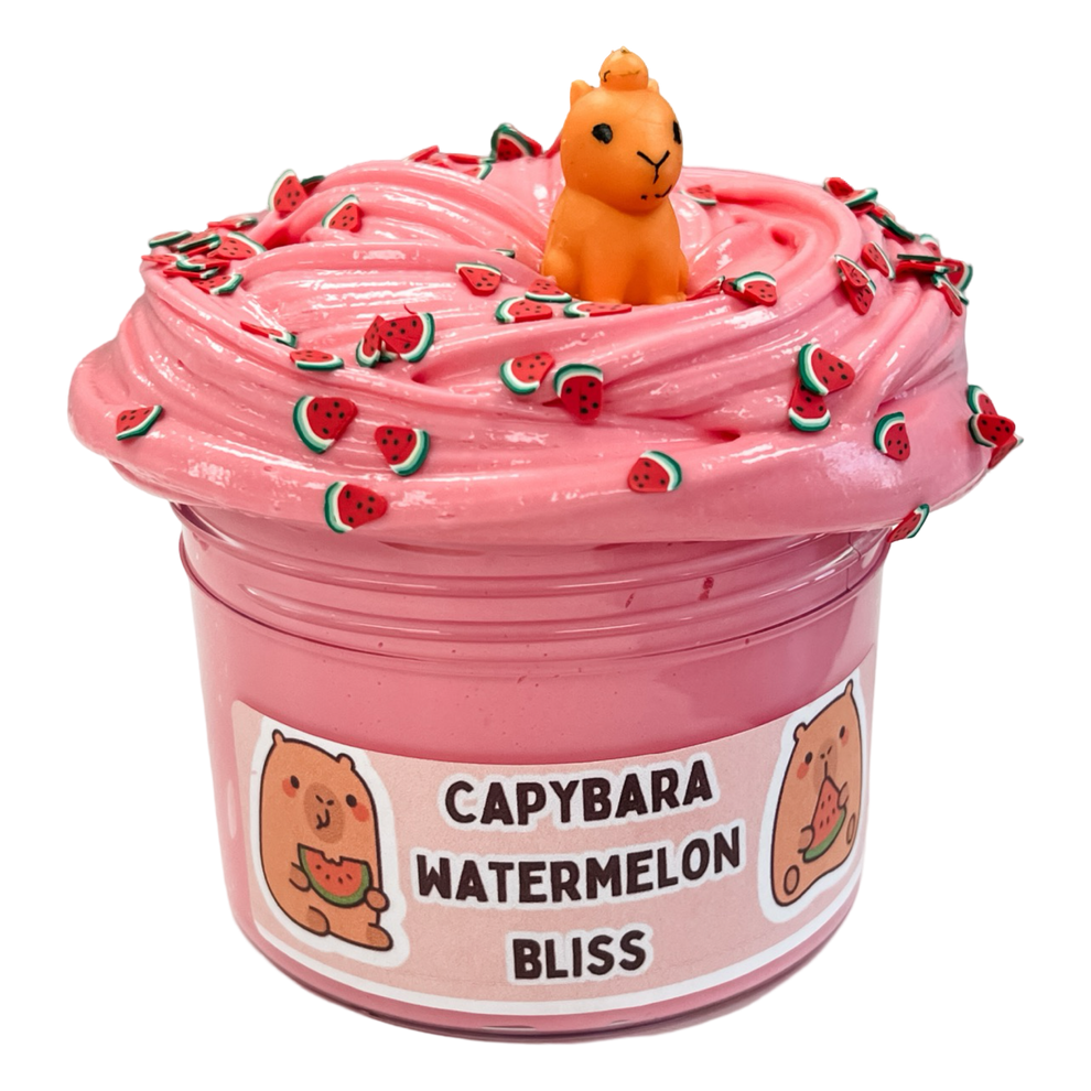 Capybara Watermelon Bliss Slime – Fidget Toys Plus