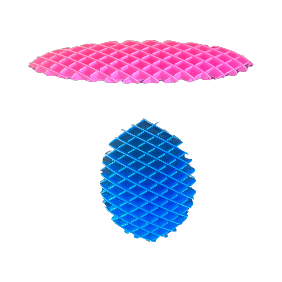 Morph Worm Fidget – Fidget Toys Plus